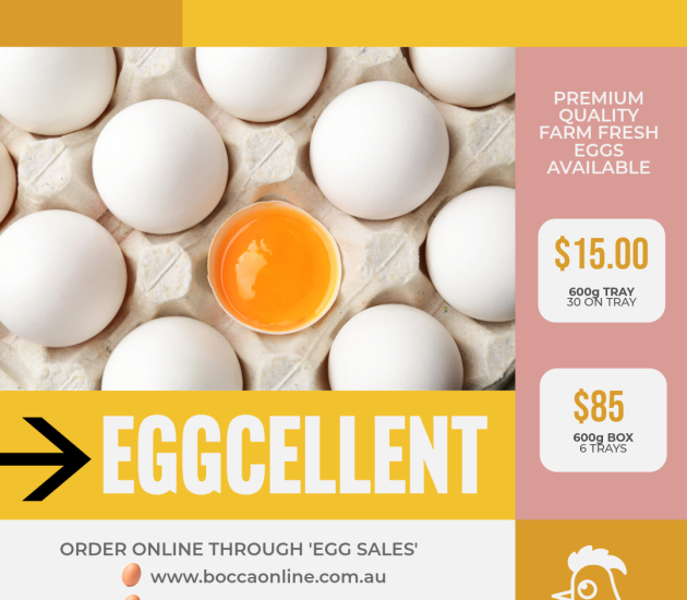 Boccafoods - All Shops